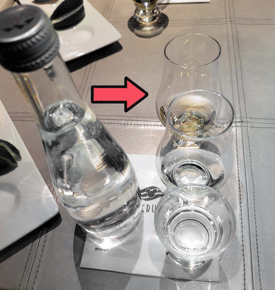 The Tequila and Margarita Tasting Was Great! – Disney Rover